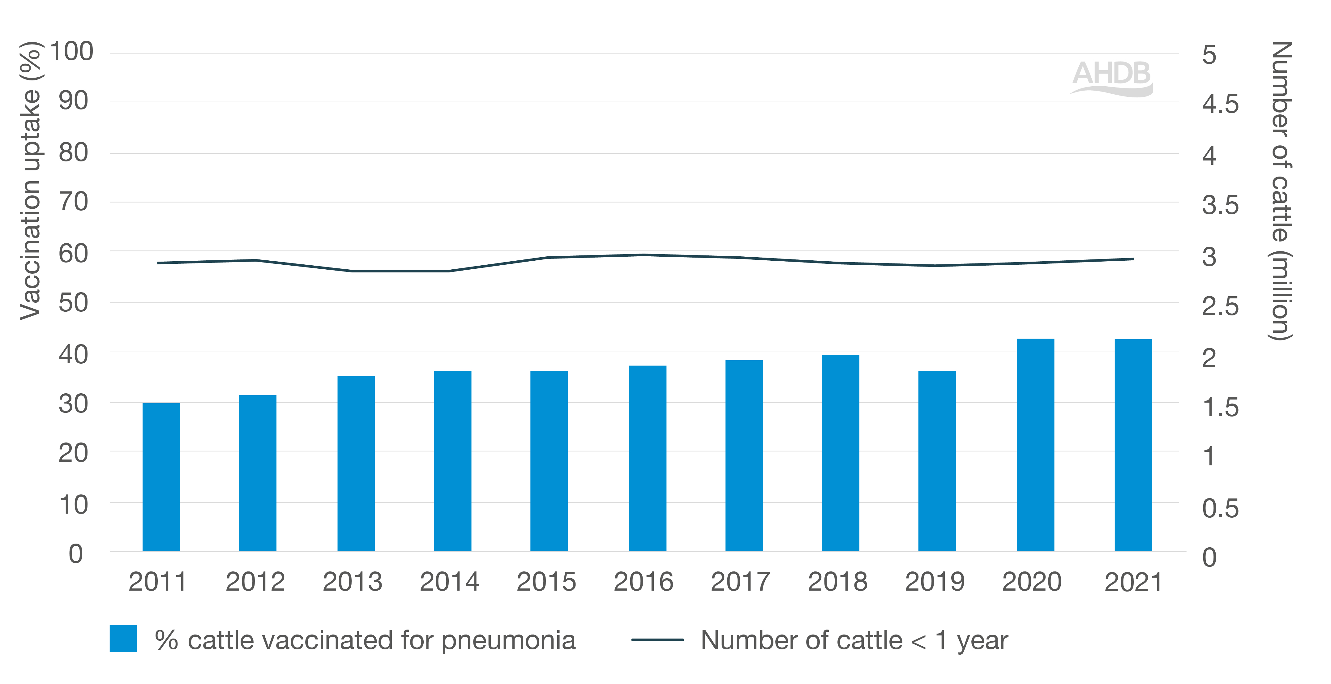 Pneumonia vaccines in cattle | AHDB